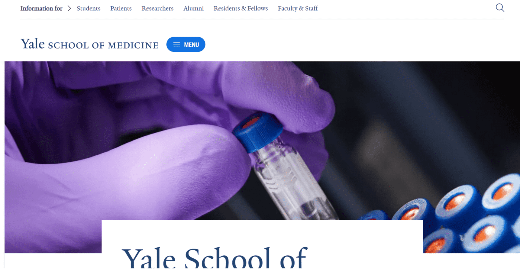 11 Best Medical Schools in the US 2025 (Ranked)