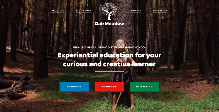 13 Best Online High Schools You Should Check Out In 2025